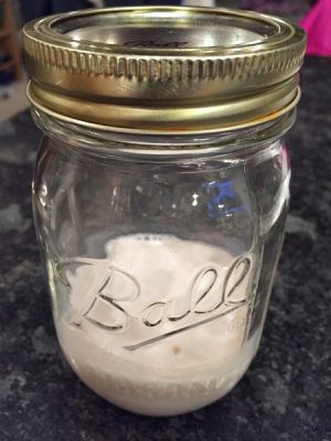 Copycat Danimals Smoothies -- A three ingredient drinkable yogurt recipe