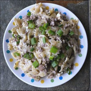 Gyros Inspired Pasta with Greek Yogurt Sauce