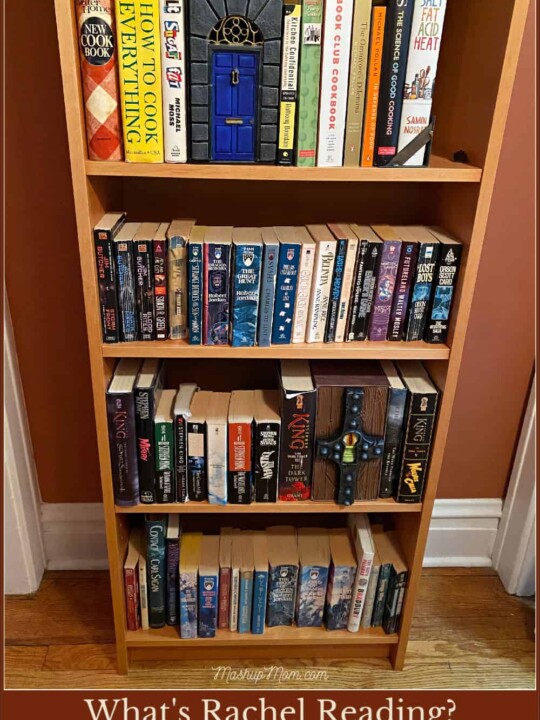 what's rachel reading Archives - Mashup Mom