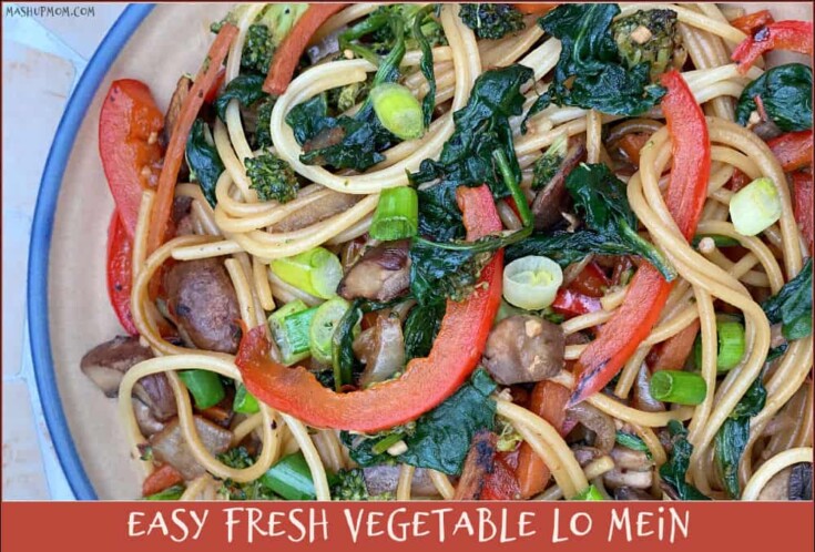 Easy Fresh Vegetable Lo Mein