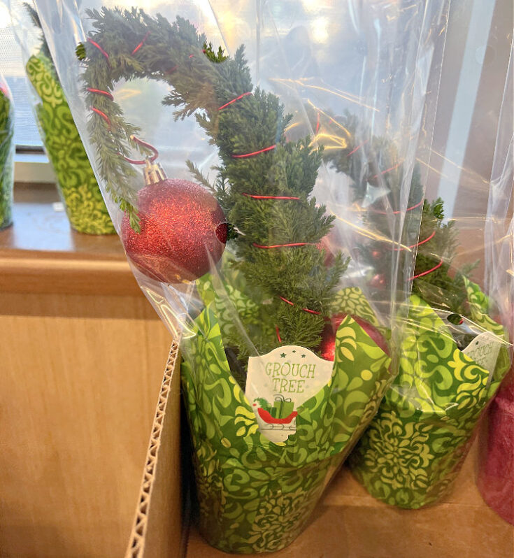 Grouch trees, herring, and ham: ALDI Finds week of 12/8/21