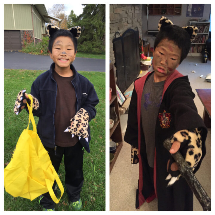 Love Cats, Baby! Caturday with the Notorious BKL and Friends